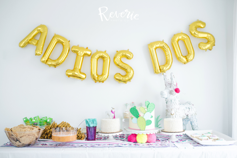ADIOS, DOS! | reveriephotoco.com